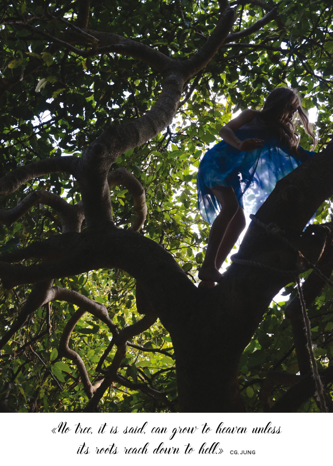 «No tree, it is said, can grow to heaven unless it’s roots reach down ...